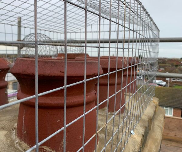 Seagull Proofing Deterrents Kent, Surrey, East, West Sussex